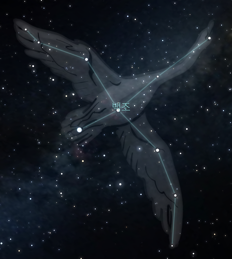 [여름철 별자리] 백조자리 (Cygnus, Cyg)