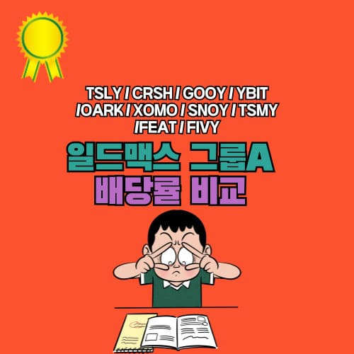 일드맥스 그룹A 배당률 및 총수익률 순위 YBIT TSLY CRSH FEAT SNOY