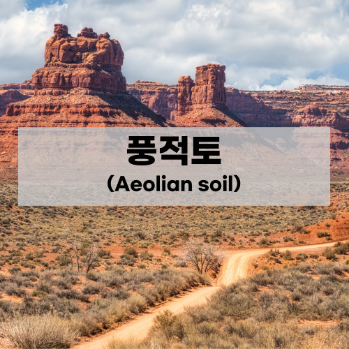 풍적토(Aeolian soil) - 정보공유