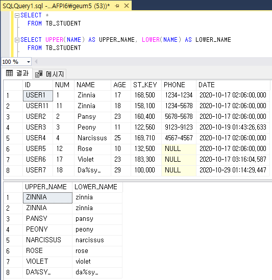 MS SQL。데이터 대/소문자 변환(UPPER, LOWER)