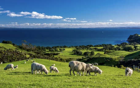 뉴질랜드 여행하기 좋은 계절 알아보기