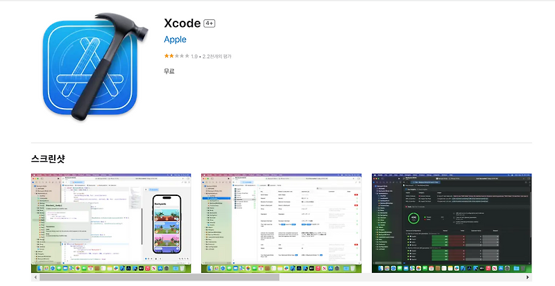 [iOS] New Project Create 시 생성되는 파일과 기능 :: 어제, 오늘 그리고 내일