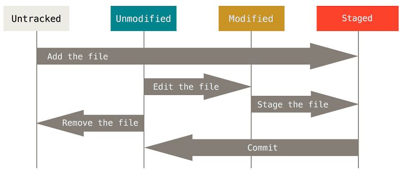 [Git LifeCycle] Unmodified, Modified, Staged