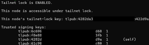 How to set up tailscale :: positively