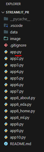 Streamlit 기본 lib : 서버 실행 및 텍스트 표시 (st.title/text 등..)