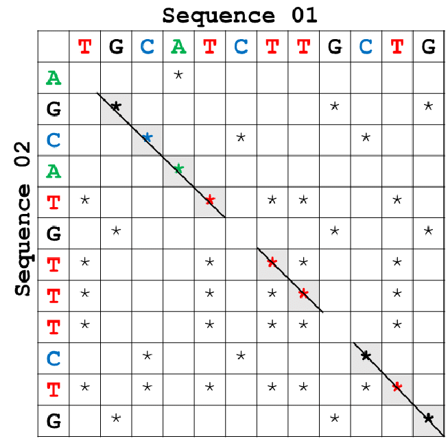 [BioInformatics] Dot Matrix Analysis — 개발자인척하는 생물학도