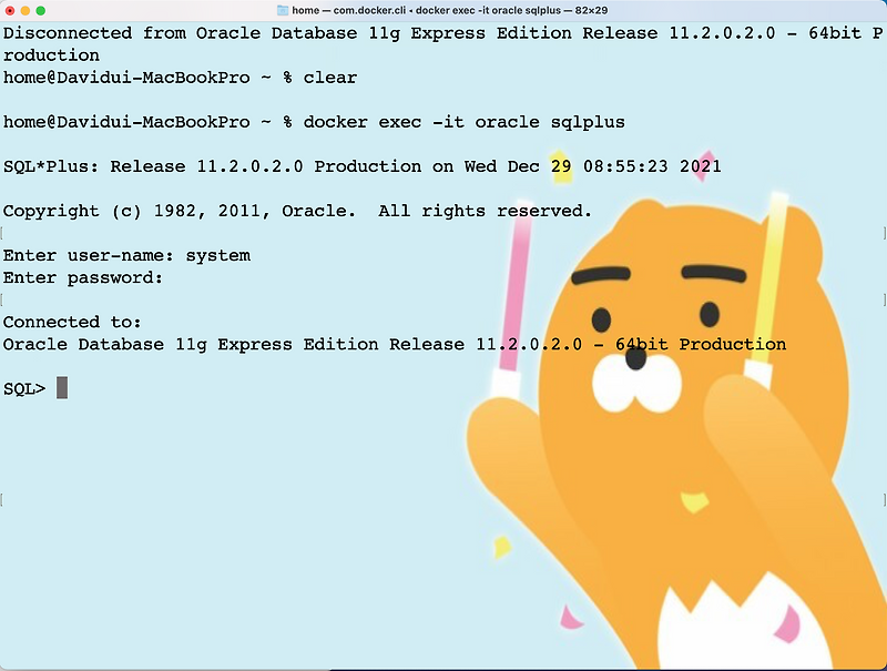 Mac에서 Oracle11g 사용하는 방법 (Docker + DBeaver)