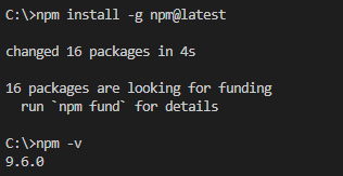 NodeJS - npm 업데이트 방법