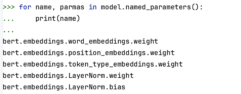 Pytorch optimizer parameter 설정