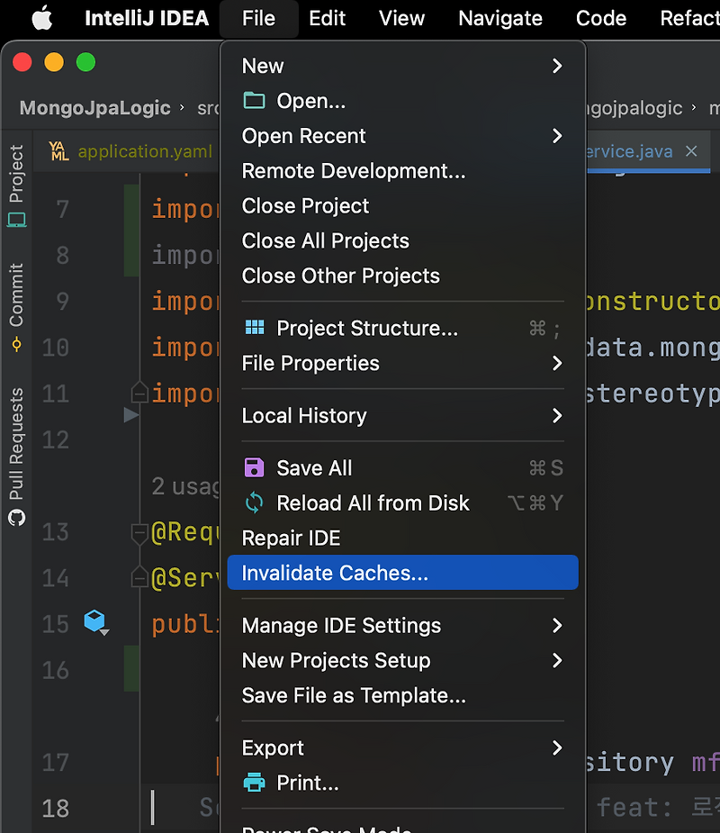 IntelliJ Honey Tips 4 - 필수!(feat. 협업하기 위한 셋업)