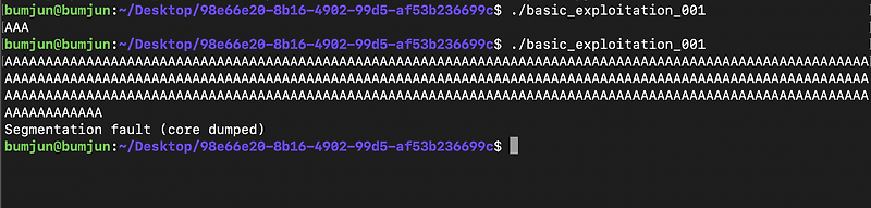[dreamhack] level 1 basic_exploitation_001