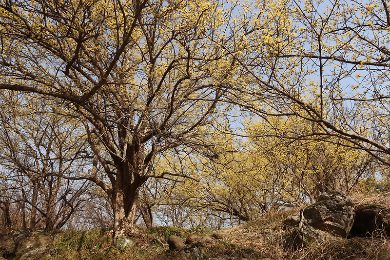 사랑과 모래의 공통점