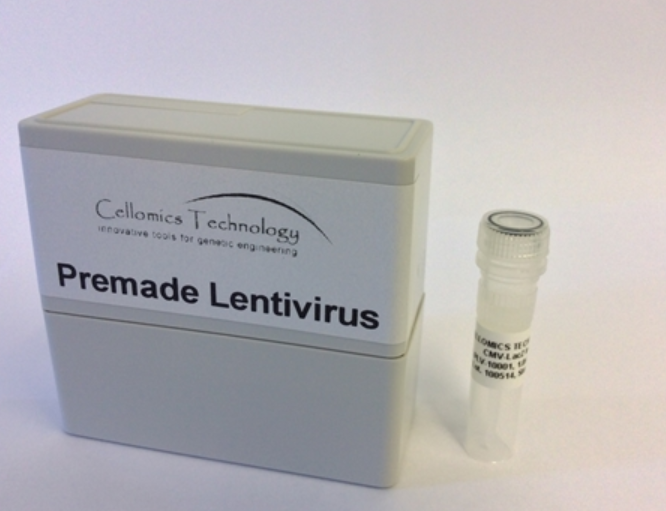 [Cellomics Technology] Oct4-GFP lentivirus