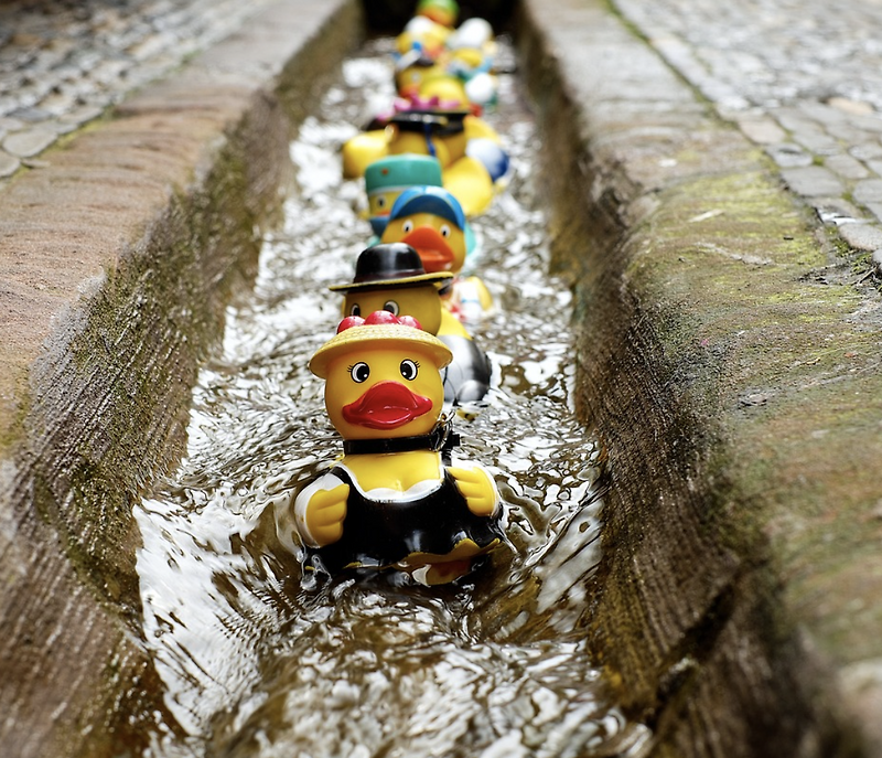 아기와 놀이하는 장난감 꼬꼬맘 사용 후기