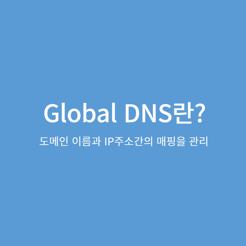 Global DNS란?