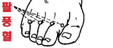 경외기혈 [팔풍혈] 八风穴 Bafeng, EX-LE10 [치통, 월경불순] 생리 늦어질때 좋은 혈자리