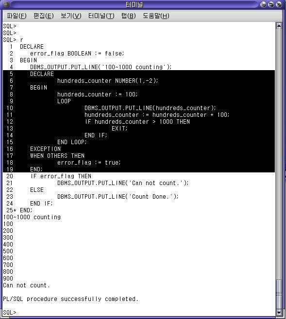 PL/SQL (3) - 블럭 구조