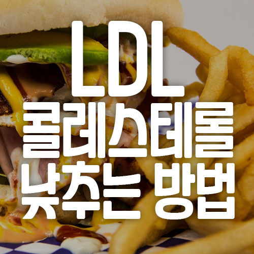 LDL 콜레스테롤 낮추는 방법과 권장 음식 알아보기
