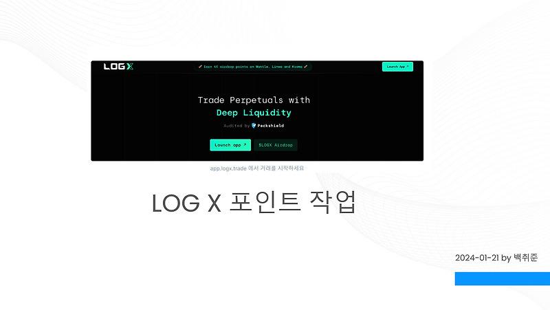 PerP DEX, LOG X 포인트 작업