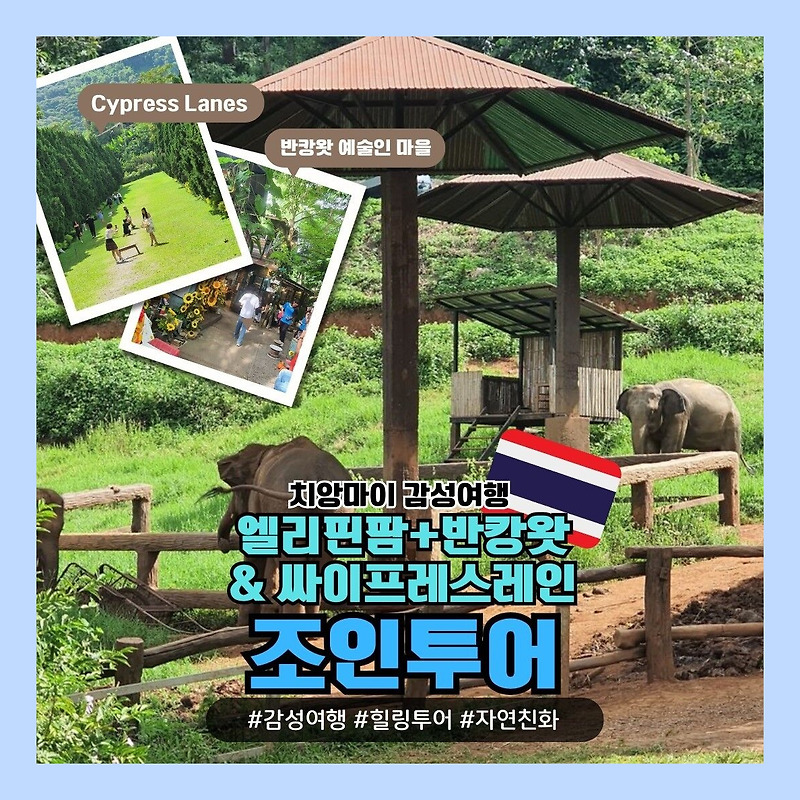 [치앙마이] 추천하고픈 치앙마이 감성여행! 엘리핀팜 & 카페 + 반캉왓 + Cypress Lanes (조인투어)