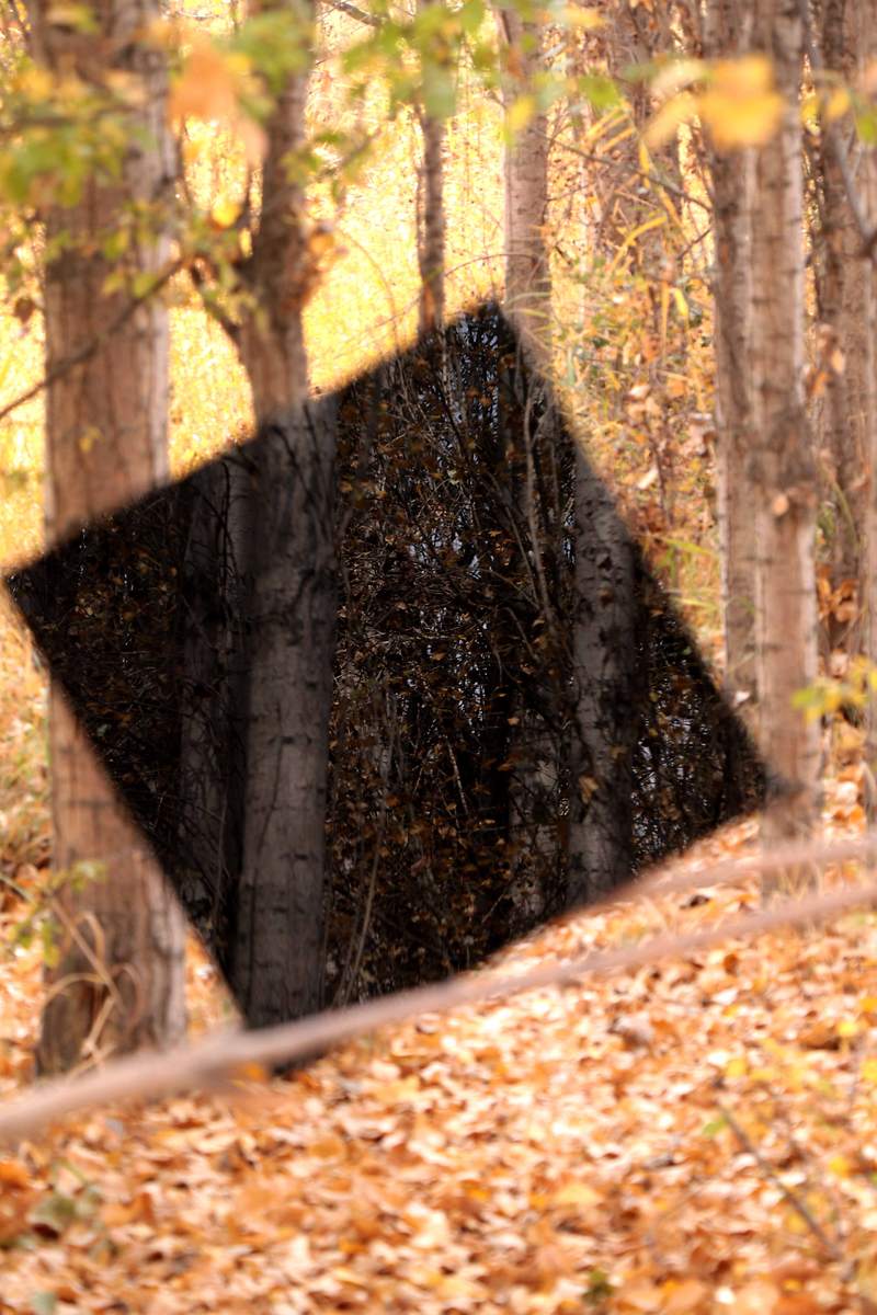 Collection of Reverse reflection