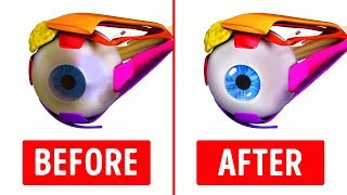 [Youtube Review][BRIGHT SIDE] 10 Great Exercises to Improve Your Eyesight