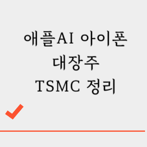 애플AI아이폰 개발 관련주는 TSMC인 이유. (애플AI 대장주, 애플AI수혜주) - 건강한 우리