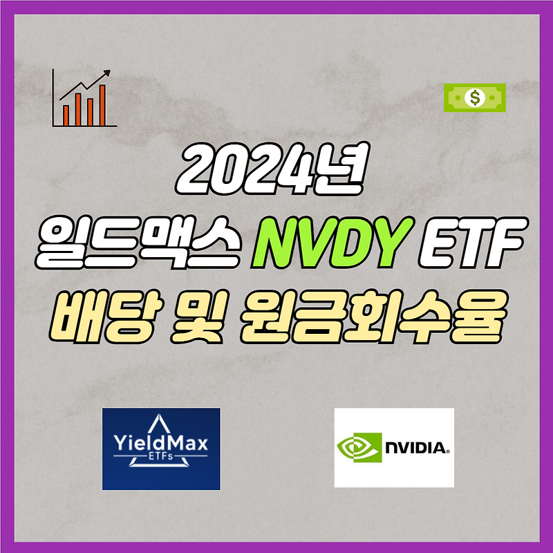 2024년 일드맥스 NVDY 배당과 원금회수율 총정리