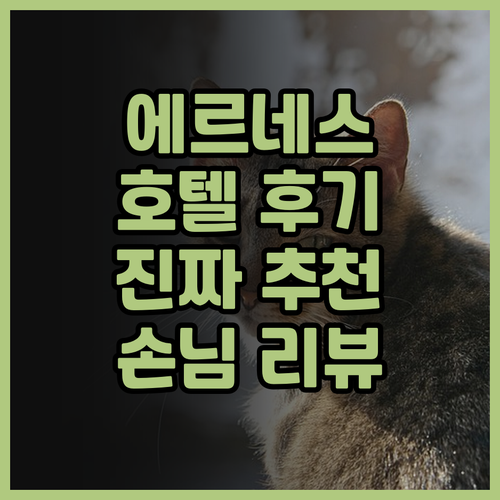 Ernes Hotel Alma Bukit Mertajam 후기 이 호텔 진짜 추천해요 손님 리뷰 모음