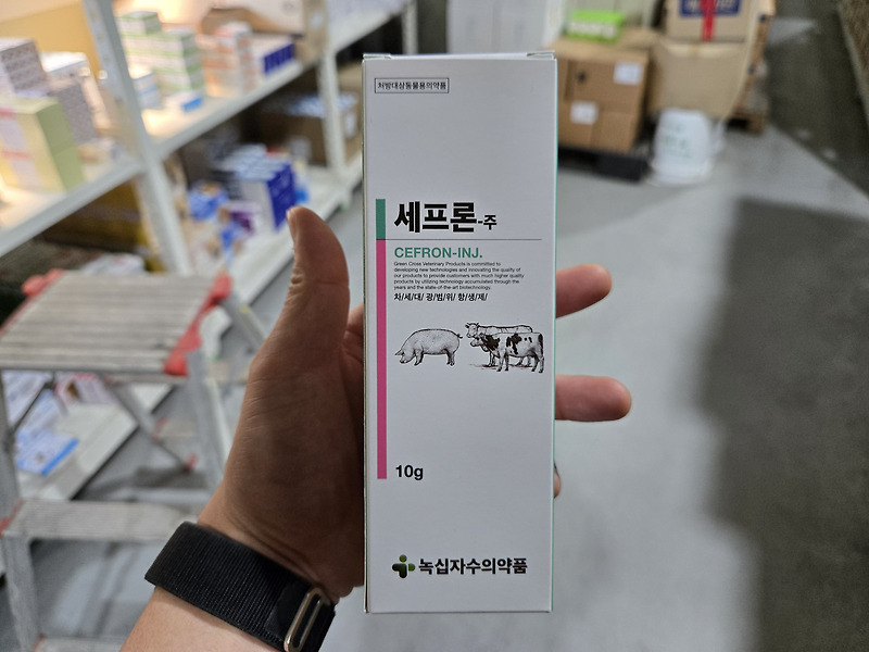 가축약품 공부 기록: 세프티오푸르 주사제, 세프론주 (CEFron-INJ.)