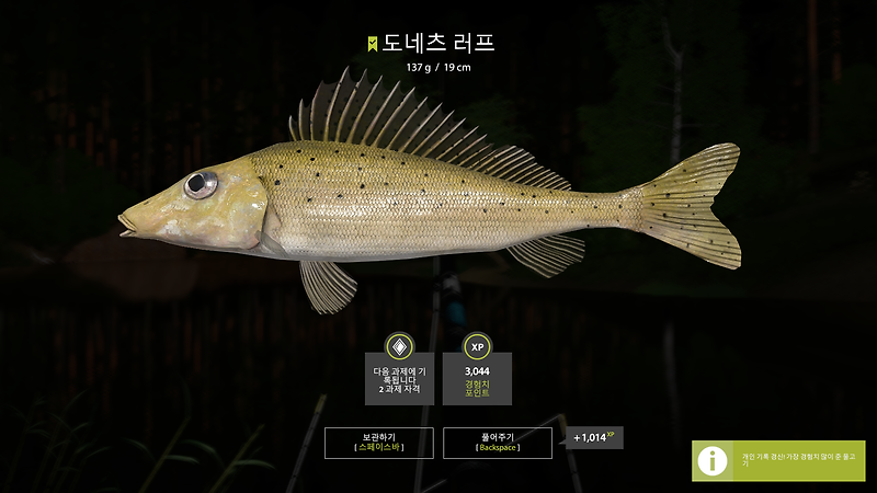 러시안 피싱 4 굽이치는 개울 도네츠 러프 스팟 - 1 / Winding Rivulet Donets ruffe spot RF4