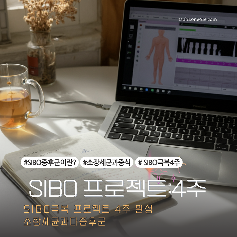 SIBO 증후군 극복 프로젝트: 4주 완성