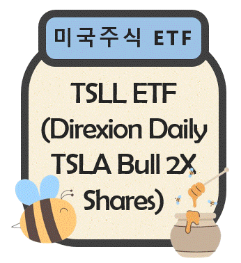 미국 ETF 이해하기(65) - TSLL(테슬라 2배 레버리지 ETF)