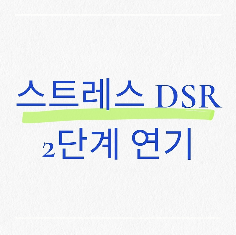 스트레스 DSR 2단계 돌연 연기 및 변경내용