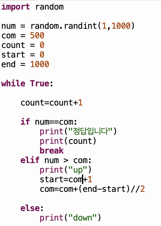 Computer guessing a random number