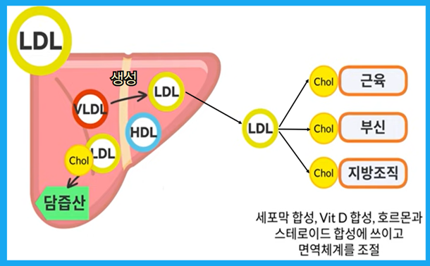 LDL 콜레스테롤 낮추는 방법, 좋은 음식 피해야 할 음식