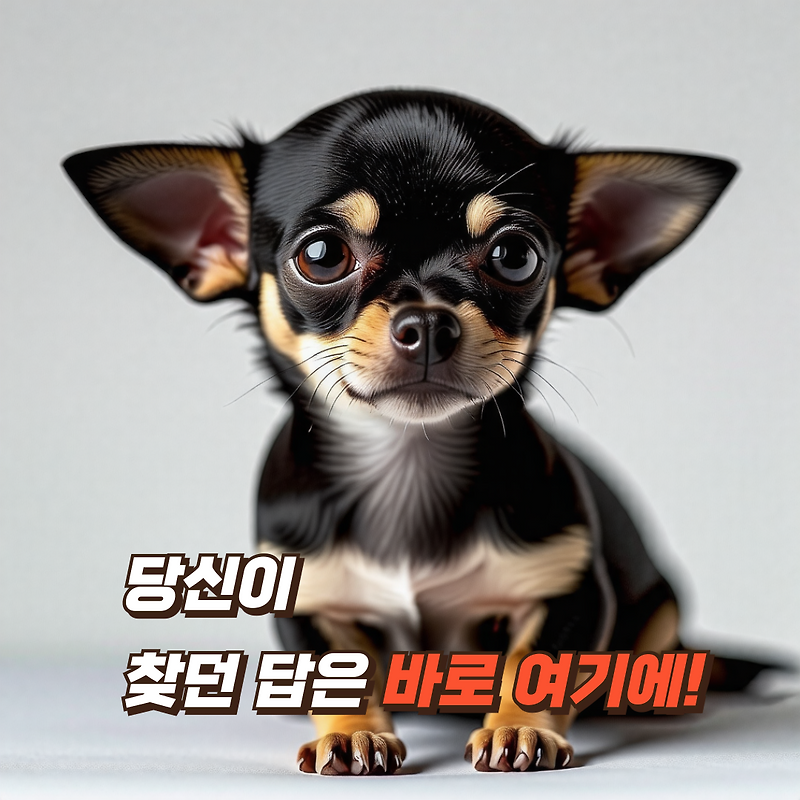 Dog Breed Comparison: Matching Your Lifestyle with the Right Dog