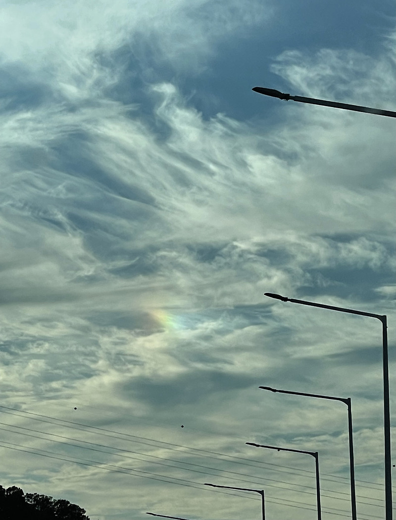 [Algorithm] LCS (Longest Common Subsequence, 최장 공통 부분 수열)