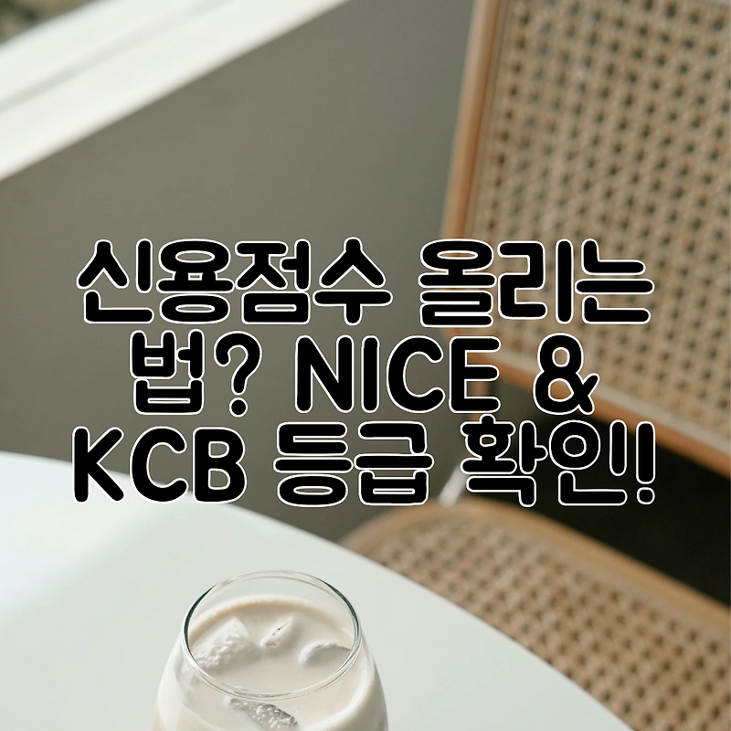 신용점수 올리는 법? NICE & KCB 등급 확인!