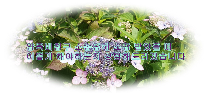 전남편이나 아내가 이혼할 때 양육비를 안받기로 했으나 양육비 청구소송해서 소장 받았을 때 답변서 제출 방법 감액 주장 방법 재판해서 심판문받는 방법 상담 양육비 청구