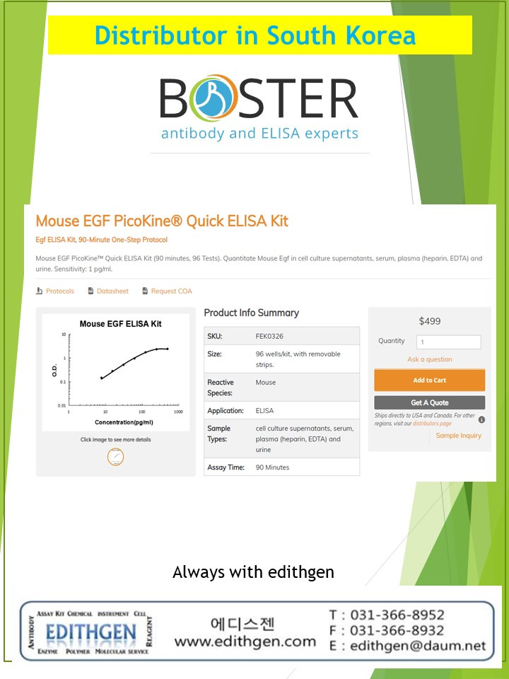 (Bosterbio 한국공식대리점_에디스젠_edithgen@daum.net) Mouse EGF Elisa Kit ...