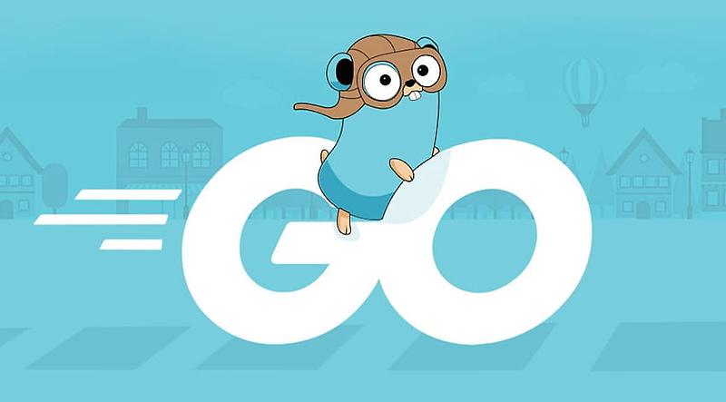 [Golang] Go 언어에서 Interface(인터페이스)를 사용하여 다양한 데이터 유형을 처리하기