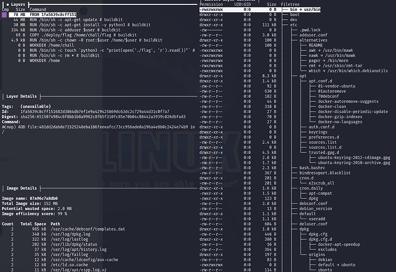 [Dreamhack] Level1:Beginner blue-whale