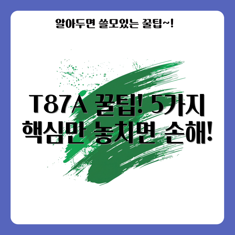 엠스톤그루브 T87A: 꼭 알아야 할 5가지 꿀팁