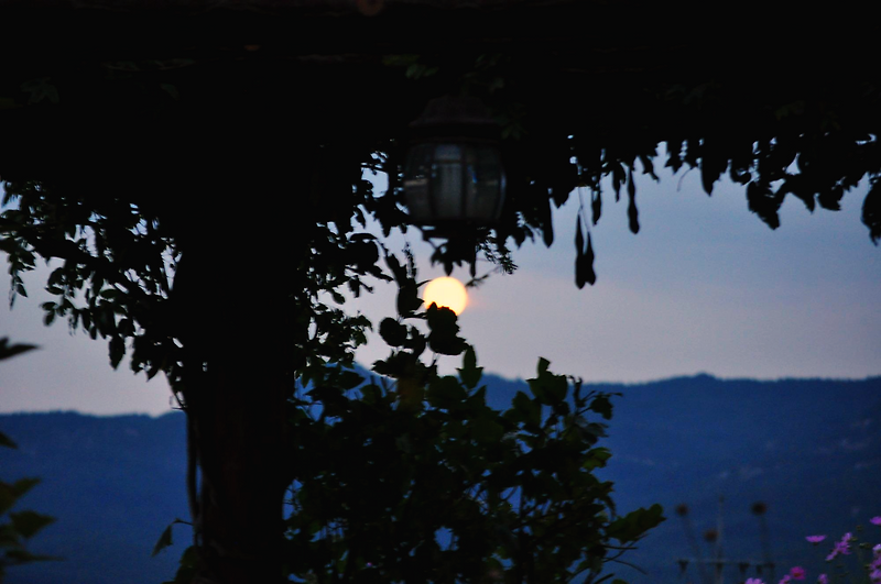 Anita Carter / Careless Love