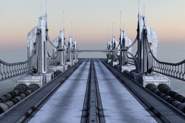 Which is the Largest of the Four Information Technology Pathways?