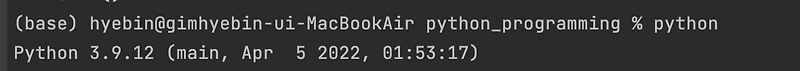 Python 버전 확인하기(mac) — 항상 HYEPPY한 개발자