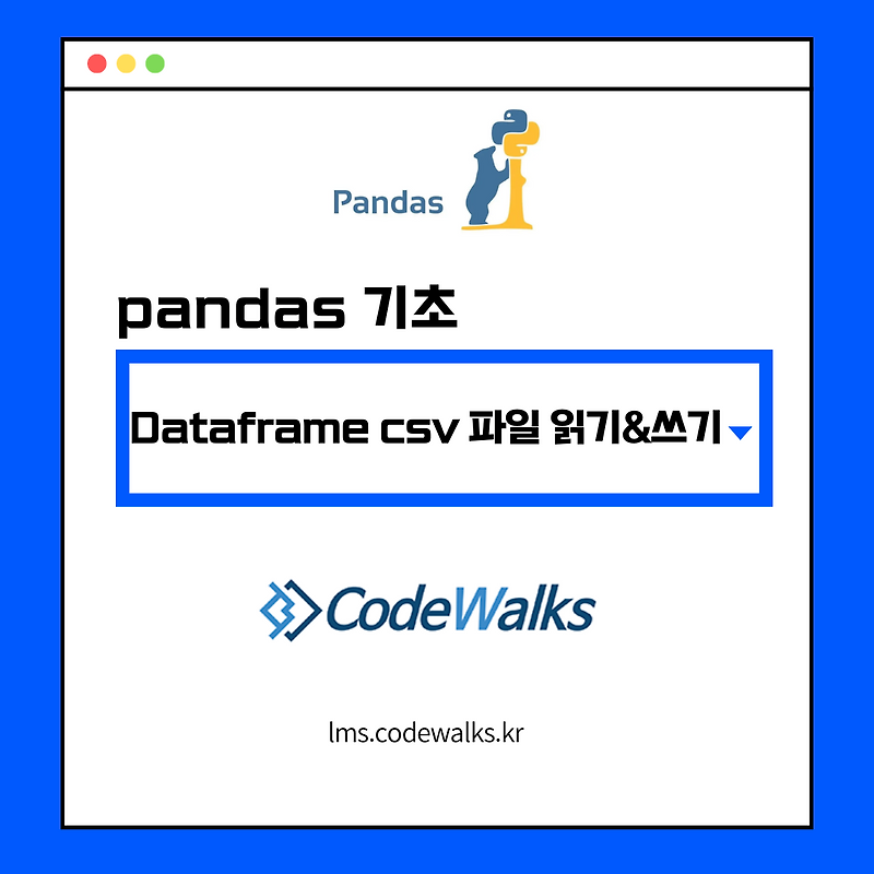 판다스 기초 데이터프레임dataframe Csv 파일 읽기 And 쓰기 — Codewalks 코드웍스