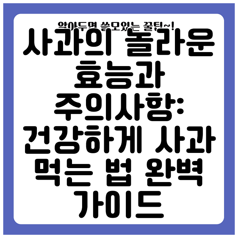 사과의 놀라운 효능과 주의사항 건강하게 사과 먹는 법 완벽 가이드