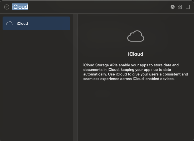 [Xcode] iCloud Storage 사용하기